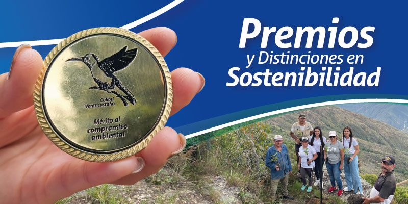 13. Premios y distinciones en Sostenibilidad